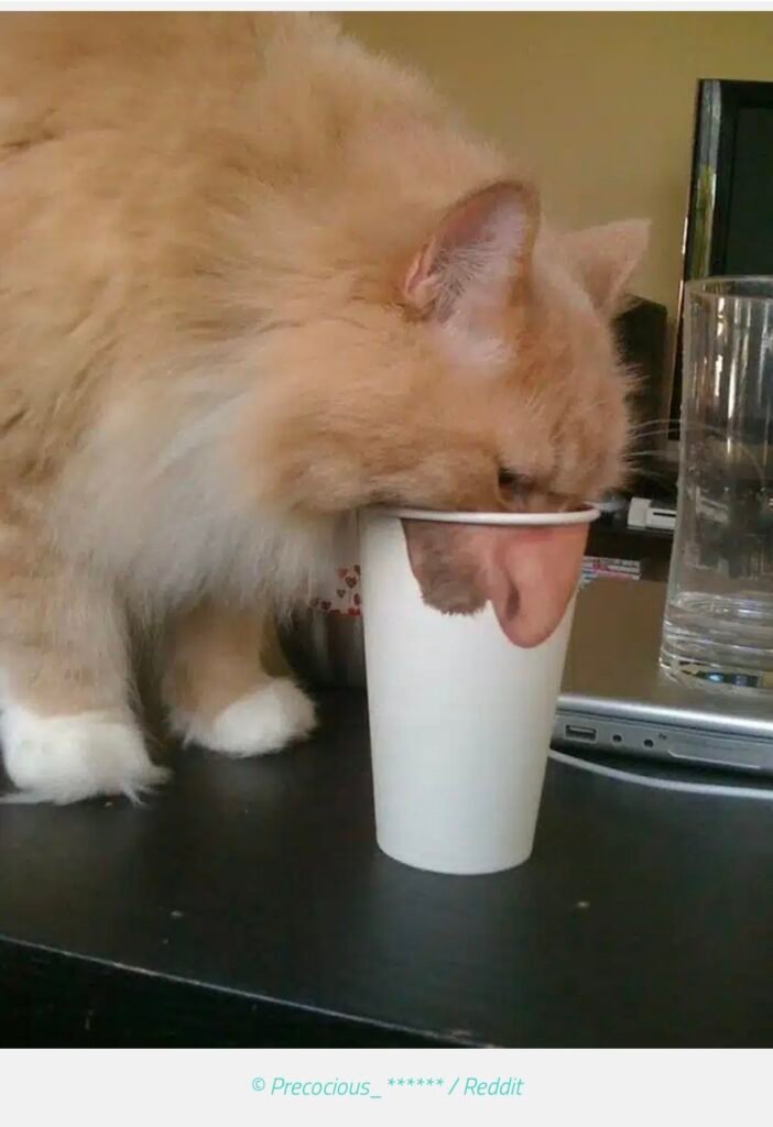 Baffling Photos Defying RealityExplore mind bending images challenging ...