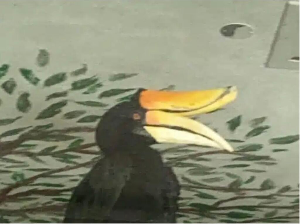 Baffling Photos Defying RealityExplore mind bending images challenging ...